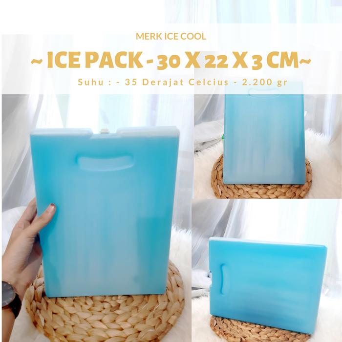 Jual Harga Ice Pack Besar - membekukan es - Blue Ice Cold Pack 30X22X3 ...
