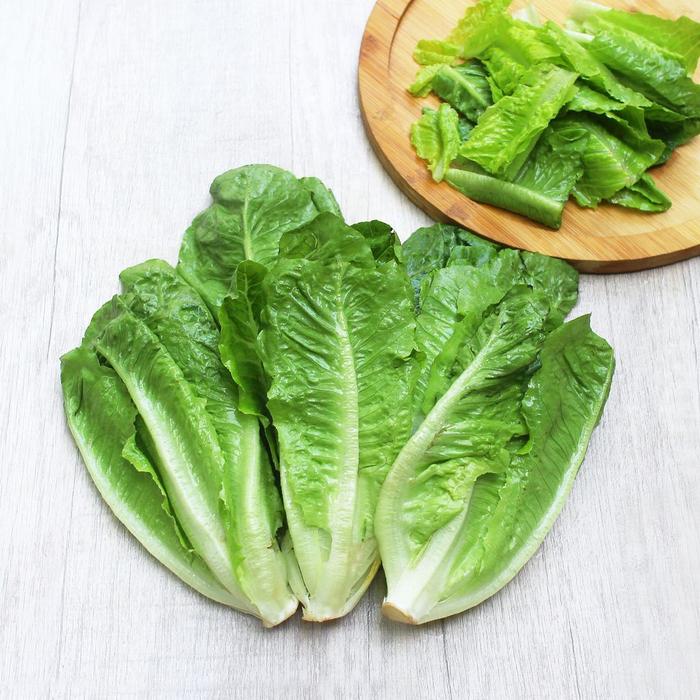 Jual Pasar Kebayoran Sayur Selada Romaine / Romaine Lettuce [500 Gram ...