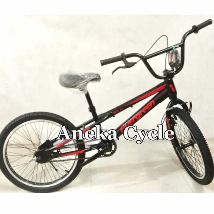 Jual Sepeda Anak Dewasa BMX Evergreen F3 Rotor Torpedo 20 - Jakarta ...