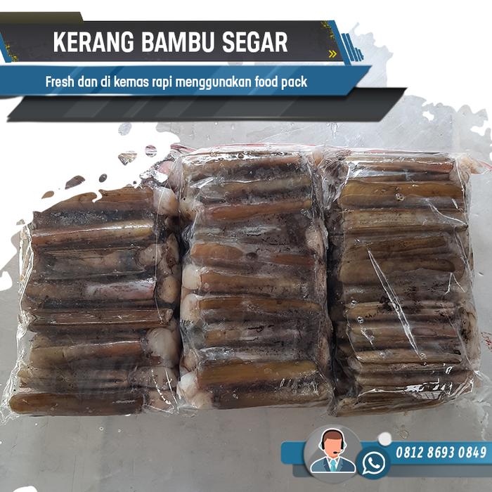 Jual kerang bambu segar fresh 1 kg - Jakarta Utara - Saudagar Fresh ...