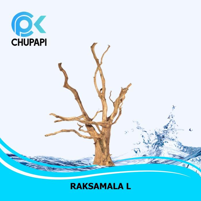 Jual Akar Kayu Rasamala Dekorasi Bonsai Aquascape Hardscape - Size L ...