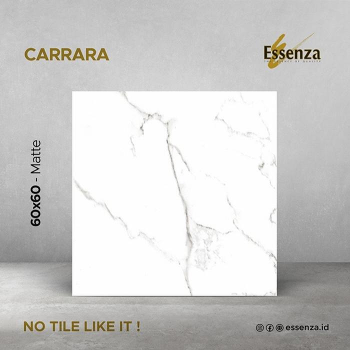 Jual Granit Essenza Carrara Grey 60x60 Polished Glossy - Kota Bandung ...
