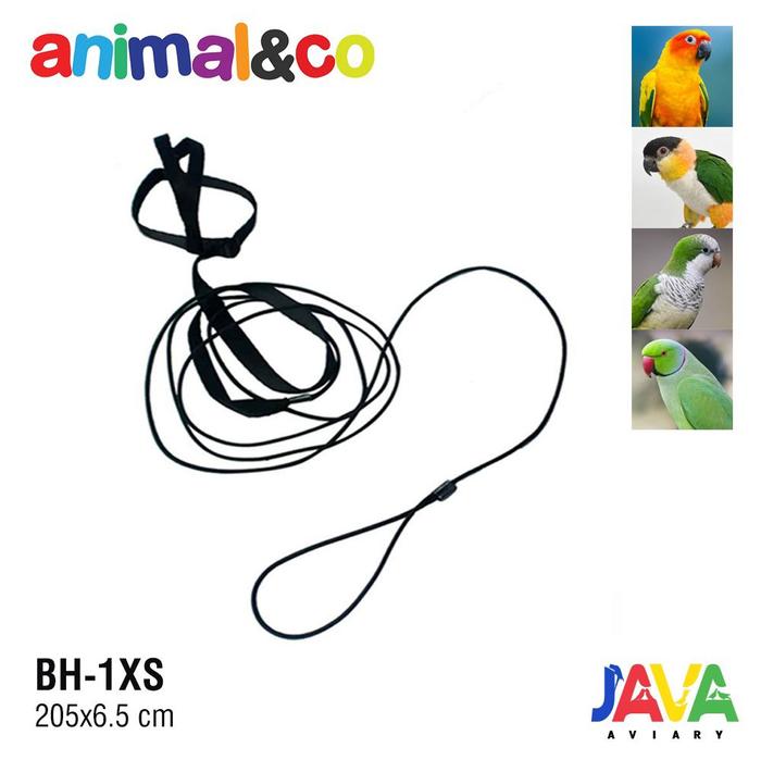 Promo AnimalnCo Harness Burung BH-1XS Harness Parrot kecil Conure ...