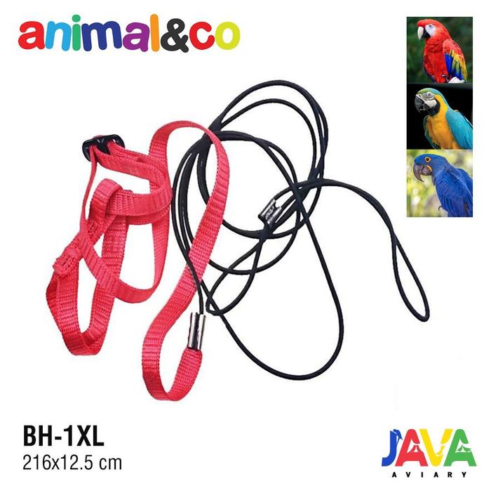 Promo AnimalnCo Harness Burung size XL Harness Parrot besar Macaw ...