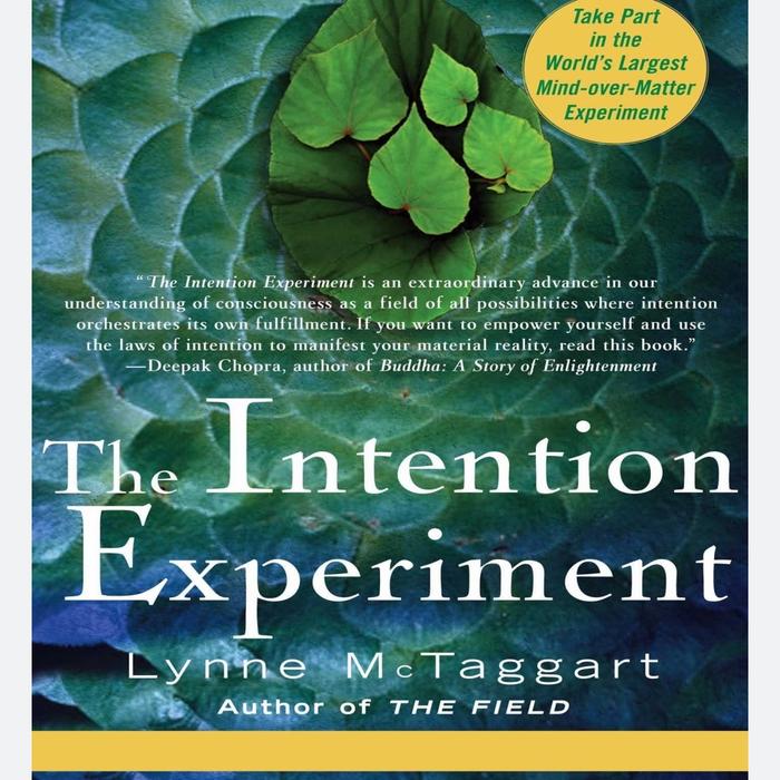 Jual Lynne McTaggart - The Intention Experiment - Kab. Sleman ...
