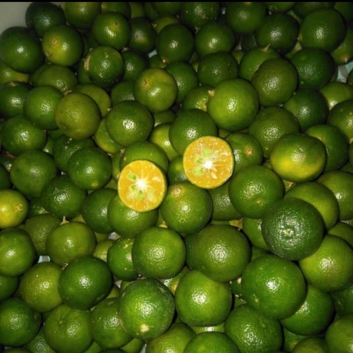 Jual Jeruk songkit/ kalamansi/ jeruk kunci/ lemon cui 1kg - Jakarta ...