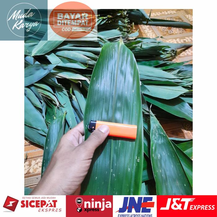 Jual Daun Bambu segar - Daun bambu Besar Khusus Bakcang 1kg - Kota ...