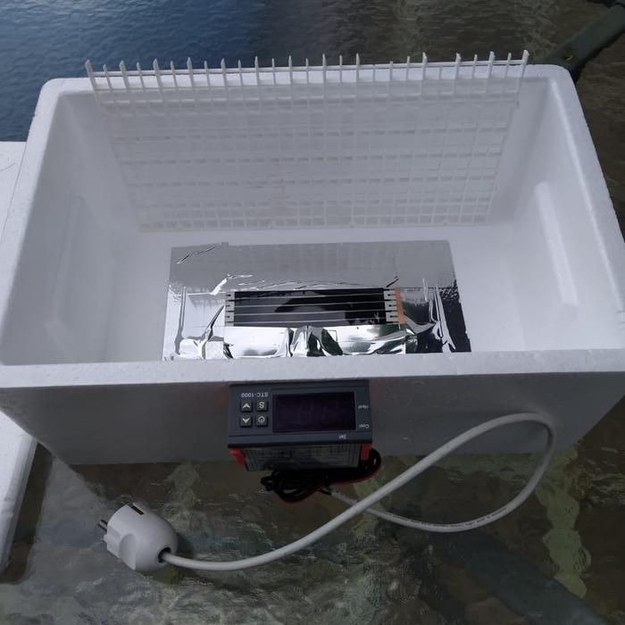 Jual inkubator iguana / incubator bearded dragon/ inkubator reptile ...