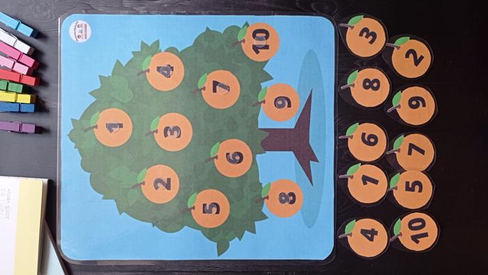 Jual Busy Page Menyamakan Bentuk dan Warna (dengan velcro) Worksheet ...