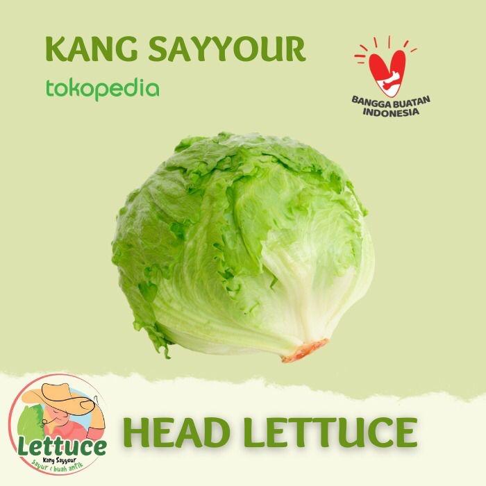 Jual Lettuce head 1 kg selada kepala 1kg sayur segar - Jakarta Timur ...