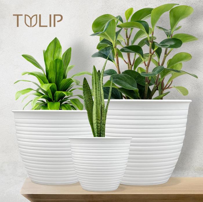 Jual Gessler Pot bunga - tanaman model sarang tawon Diameter 15 cm ...