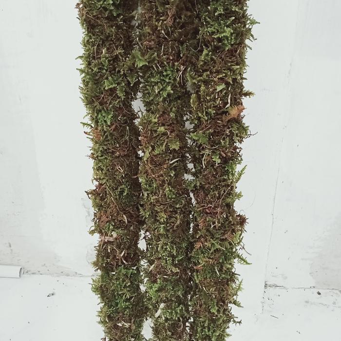 Jual turus pipa lumut hidup tanpa kawat ukuran 60 cm - Kab. Cianjur ...