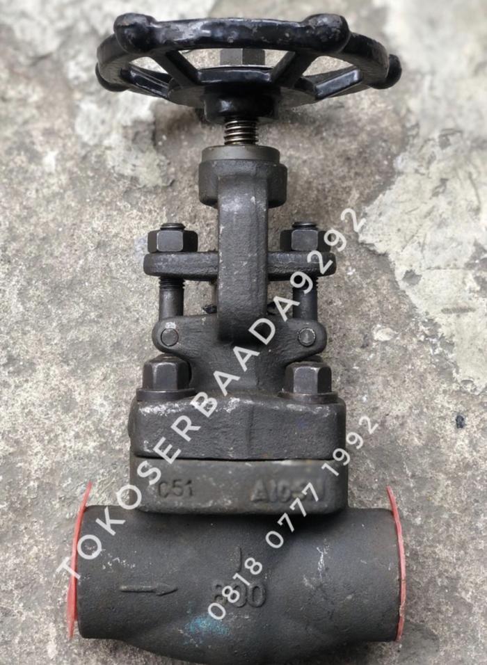 Jual Gate Valve Cs 3/4" inch class 800 (Shoritsu) ; besi - Jakarta ...