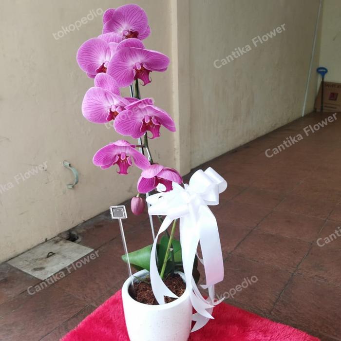 Jual vas bunga anggrek corak/rangkaian bunga meja/anggrek vas asli ...