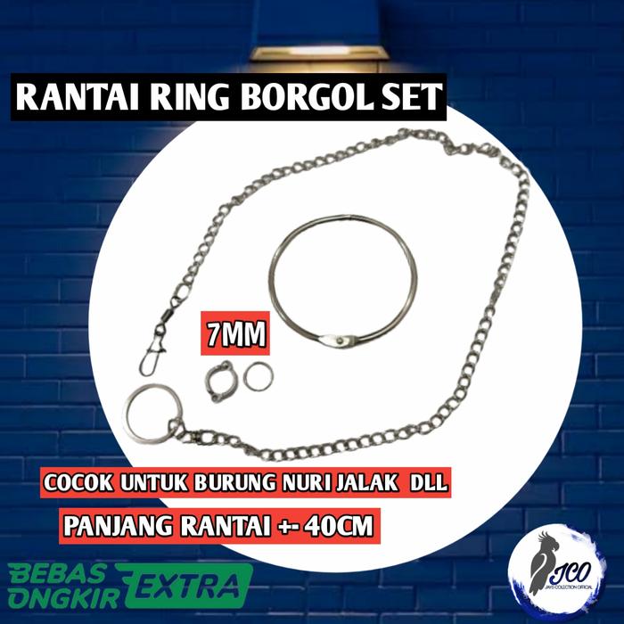 Jual RANTAI RING BORGOL SET RANTAI BORGOL KAKI BURUNG NURI 7MM ...