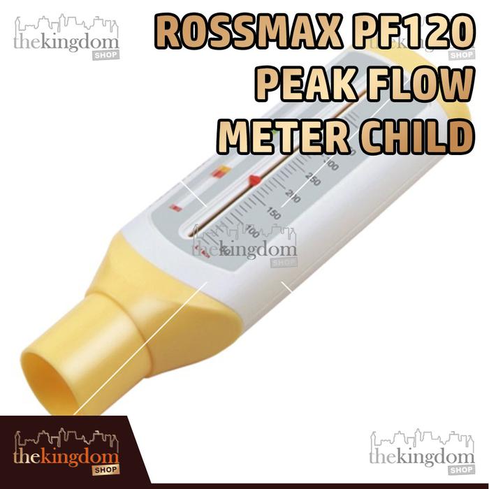 Jual Rossmax AS175 PF120 Aero Spacer Valved Holding Chamber Tes Terapi ...