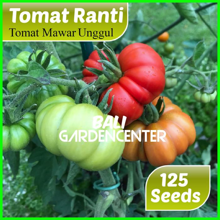 Jual Benih Biji Tomat Mawar - Tomat Ranti Unggul - Kab. Badung - Bali ...