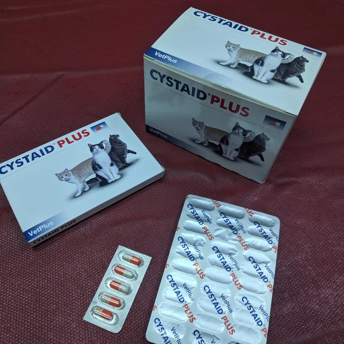 Jual Cystaid Plus - Vet Plus - Kapsul Obat Gangguan Saluran Kencing ...