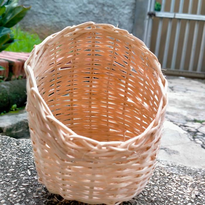 Jual sarang burung gowok dari rotan kenari finch burung kecil - Jakarta ...