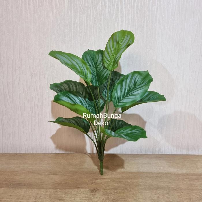 Jual Daun Calathea Artificial Group - Jakarta Barat - Rumah Bunga Dekor ...