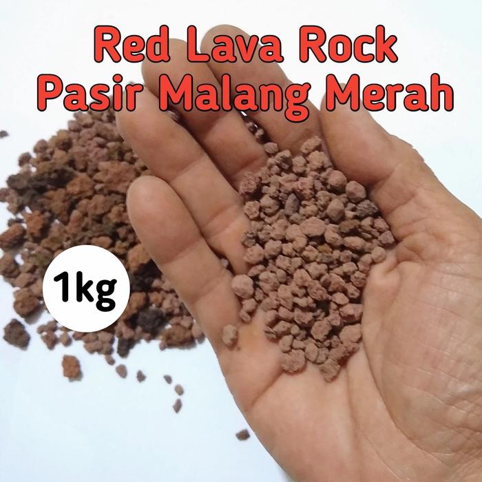 Jual pasir malang merah 1 kg / Red Lava Rock / Batu Warna Ikan Channa ...
