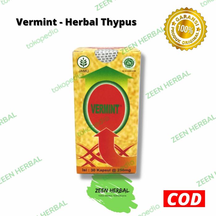 Jual Vermint 30 kapsul - Obat Thypus vermin - Kota Bekasi - ZEEN HERBAL ...