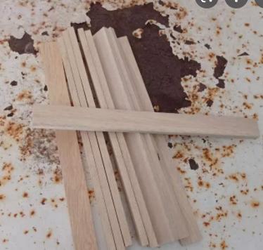 Jual Tempat telur BSF (eggies) - Jakarta Barat - cekinbox | Tokopedia