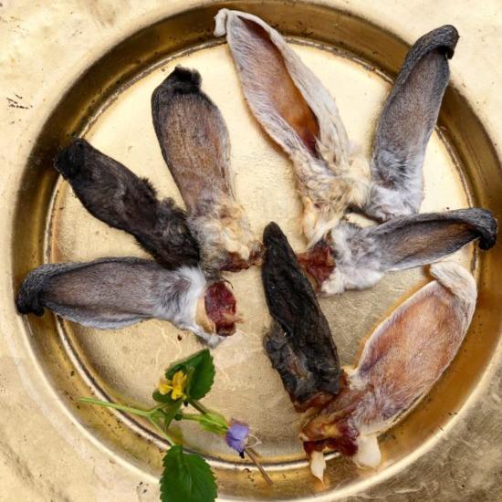 Jual Rabbit Snack Jerky / Dog Cat Treats Kuping Kelinci Makanan Anjing ...