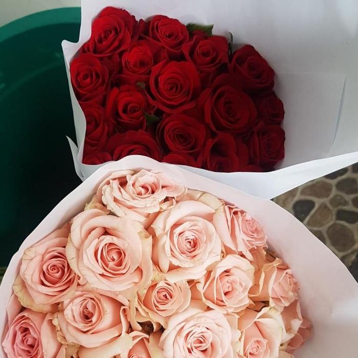 Bunga Mawar Pink Tumblr