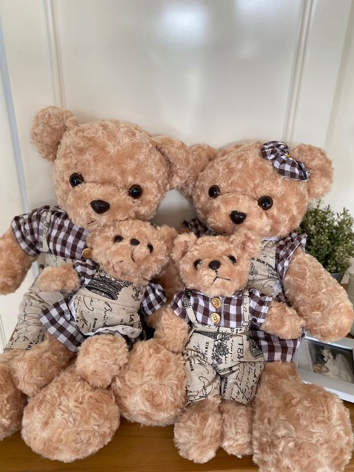 Jual Boneka Teddy Bear Ukuran 30 Cm (versi Cowok) Import Rosy Fur Di ...