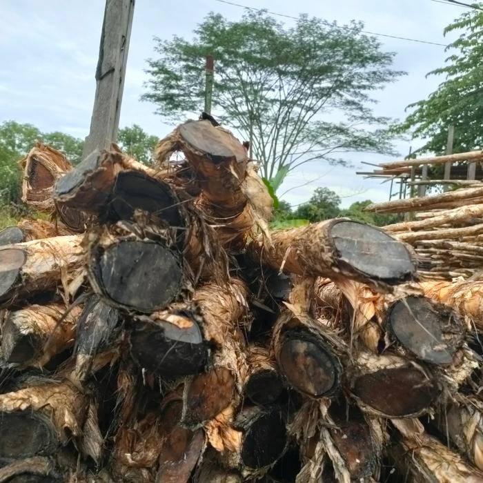 Jual Kayu Galam Bermacam ukuran - Kota Balikpapan - CHUZAINI | Tokopedia
