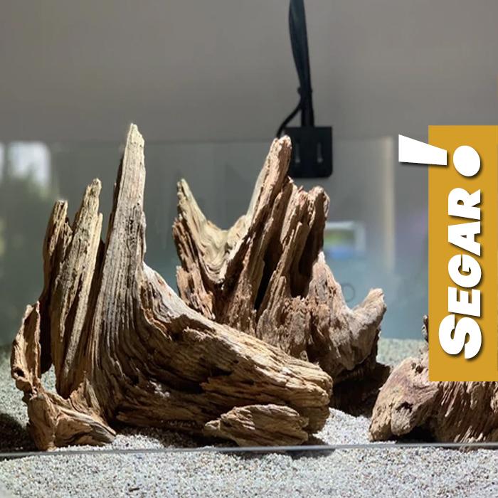 Jual Kayu Aquascape Dekorasi Aquarium Paduan Tumbuhan Hias Non Akar ...