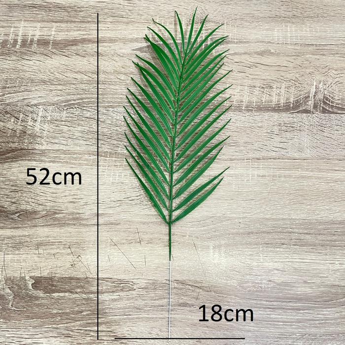 Jual Daun Palem Daun Besi Plastik (satuan) P:55 dan 65 cm Daun ...