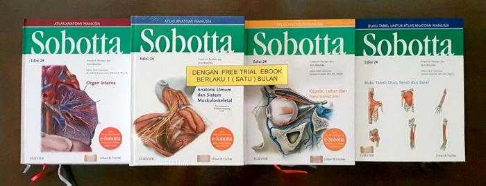 Jual Sobotta Atlas Anatomi Manusia Edisi 24 + trial access berlaku 1 ...
