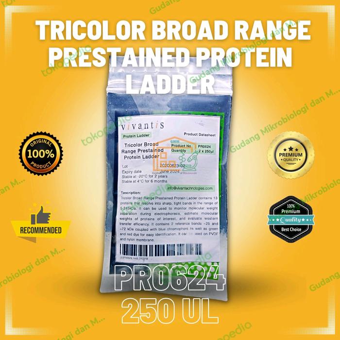Jual Tricolor Broad Range Prestained Protein Ladder, 5 - 245 kDa, 250 ...