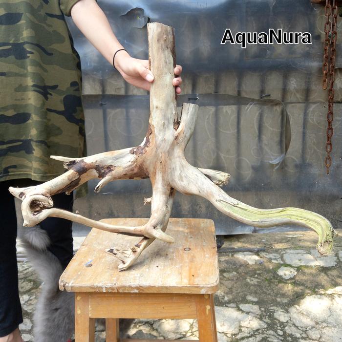 Jual kayu laut bonggol drift wood kl 5903 aquascape aquarium - Kota ...