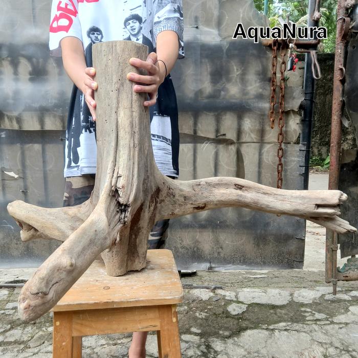 Jual kayu laut bonggol drift wood kl 2460 aquascape aquarium - Kota ...
