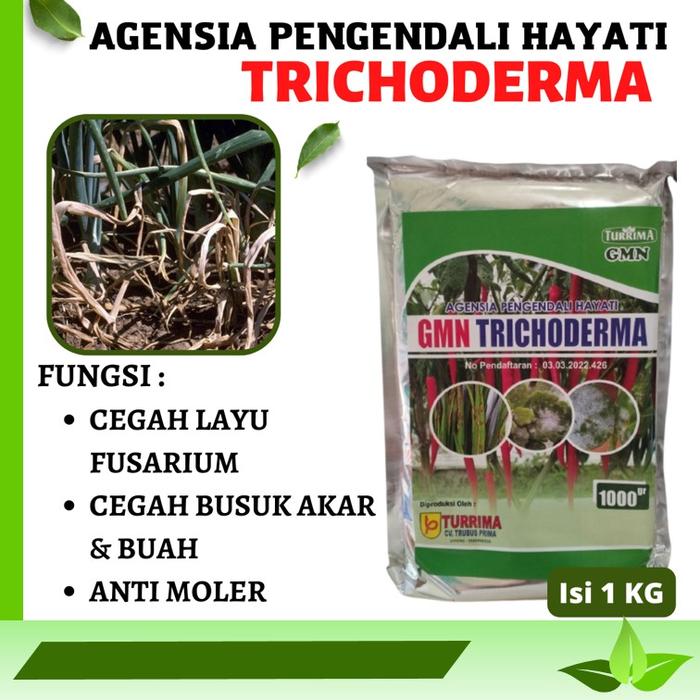 Jual Trichoderma Hayati Tanaman Cabai, Pupuk Cabai Anti Busuk Buah Dan ...