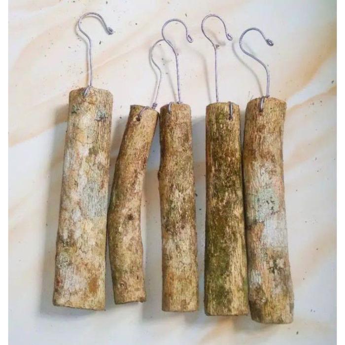 Jual batang kayu kopi media tanam anggrek efifit dll+kawat cantolan ...