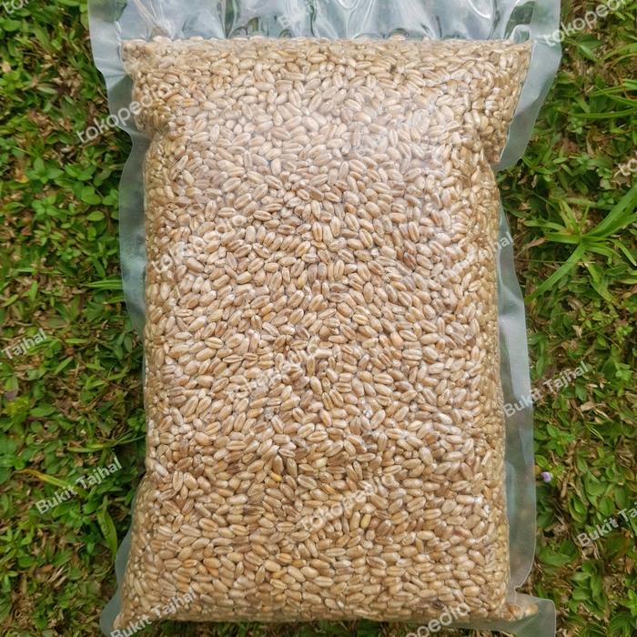 Jual Biji Gandum Utuh 1 kg - Kab. Bogor - Bukit Tajhal | Tokopedia