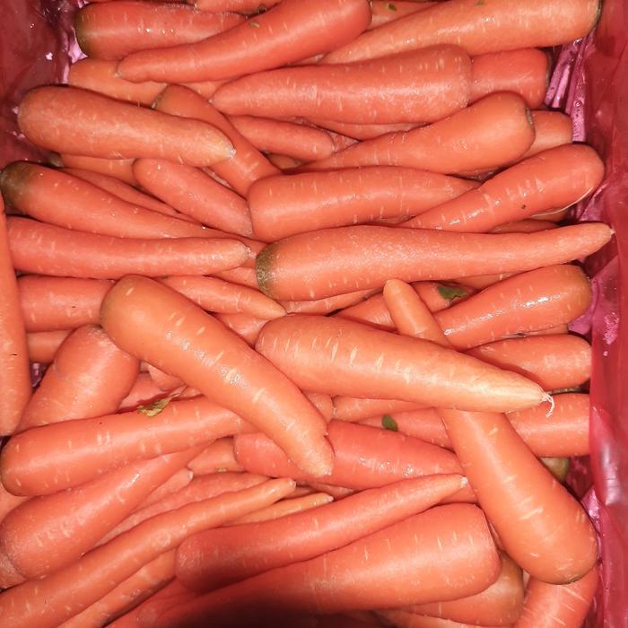 Jual Baby wortel Import Segar | 1kg - Jakarta Selatan - Pasar Online ...