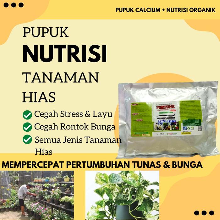Jual Pupuk Bunga Anggrek Organik Cepat Berbunga, Pupuk Bio Alba Untuk ...