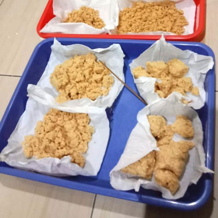 Jual Telur Maggot Lalat BSF Paket Breeding 10 gram - Kab. Tangerang ...