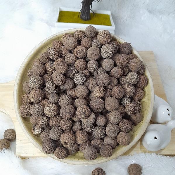 Jual Benih Unggul Biji Buah Jenitri 1kg MURNI - Kab. Situbondo ...