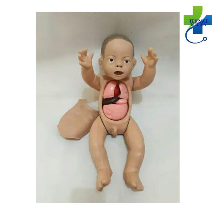 Jual bayi resusitasi dada terbuka / Phantom manikin / manekin - Jakarta ...