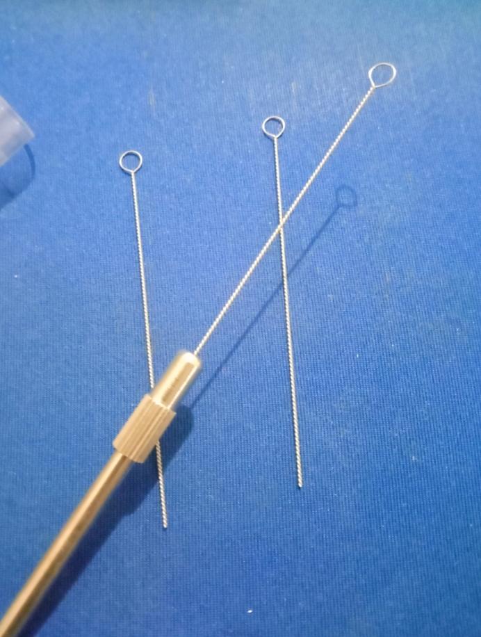Jual Jarum Ose Inoculating Loop Nichrome 10 pcs complete with Loop Holder - Kota Bekasi - ctr7 ...