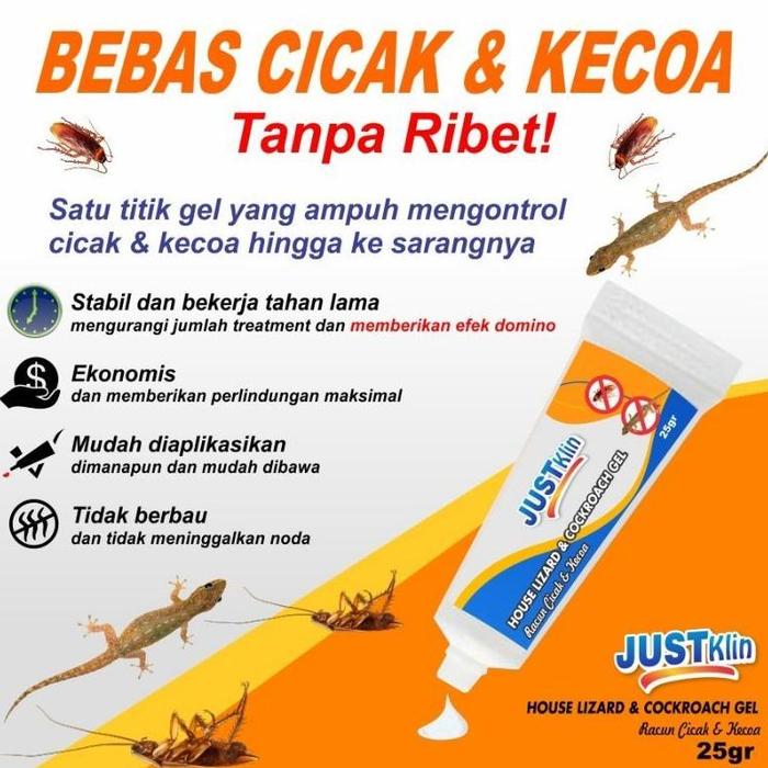 Jual RACUN PEMBASMI AMPUH ORI CICAK KECOA MATI DITEMPAT - Jakarta Barat ...