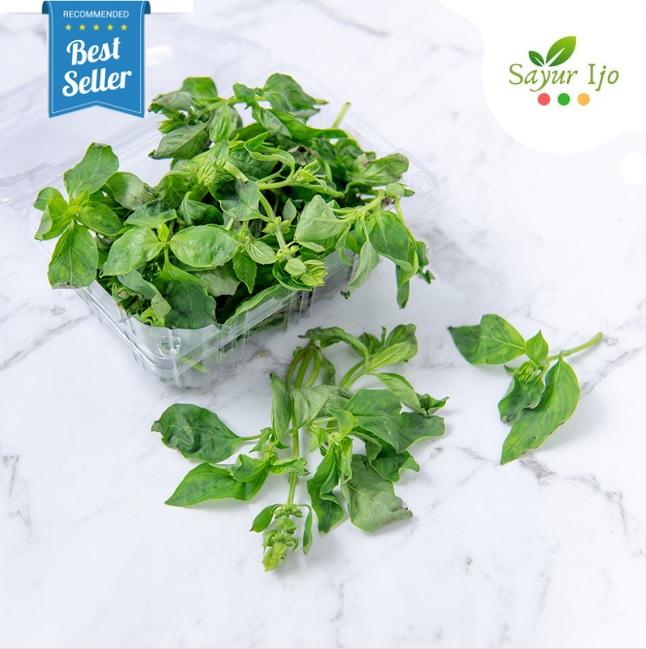 Promo Daun Basil Sweet Italian 40-50 Gram/Pack Fresh Leaf Sayur Hijau ...