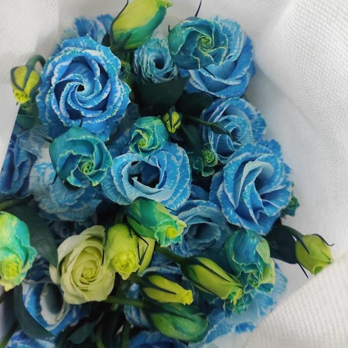 Jual buket bunga wisuda biru asli bouquet flower fresh - Jakarta Barat ...
