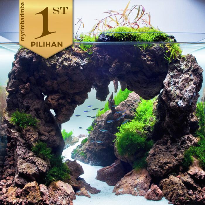 Jual Batu Lava Rock XXL Hiasan Aquascape Aquarium Tanaman Air Ikan Hias ...